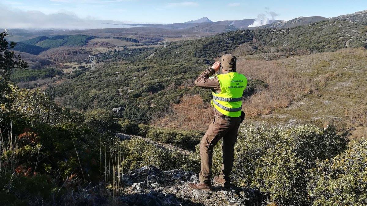 Día Mundial de los Guardas Forestales - Libre Expresión | Iván Mercado